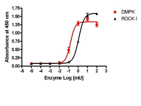 Rho-associated Kinase (ROCK) Activity Assay | CSA001